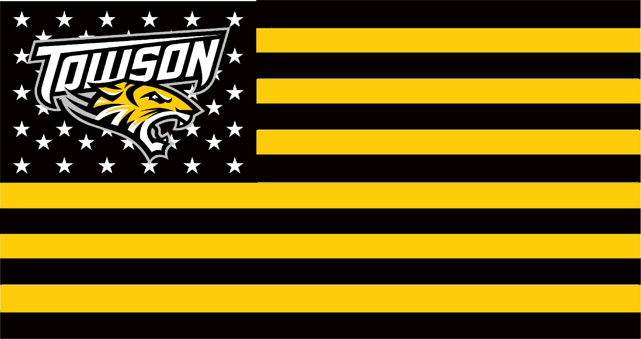 Towson University American Flag – Flags University